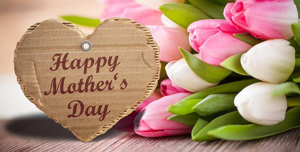 Stems of Jedburgh Florist - Order Online or 01835 864411