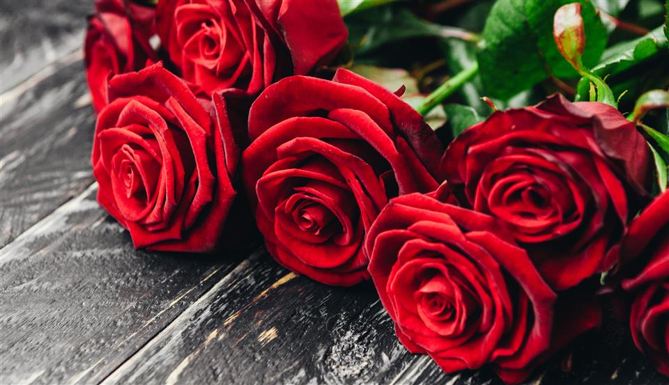 Stems of Jedburgh Florist - Order Online or 01835 864411