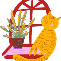 Cat Friendly Handtied Flowers Stems of Jedburgh Florist