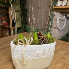 Winter White Hyacinths Flowers Stems of Jedburgh Florist